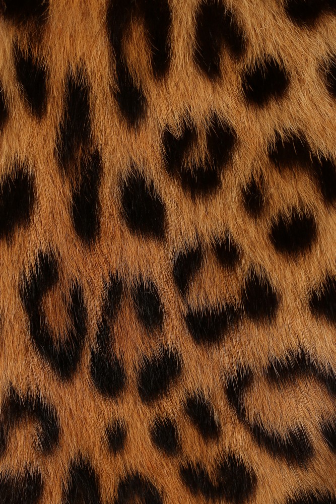 Lot 62 - A leopard skin jacket, 1960s, lined in brown